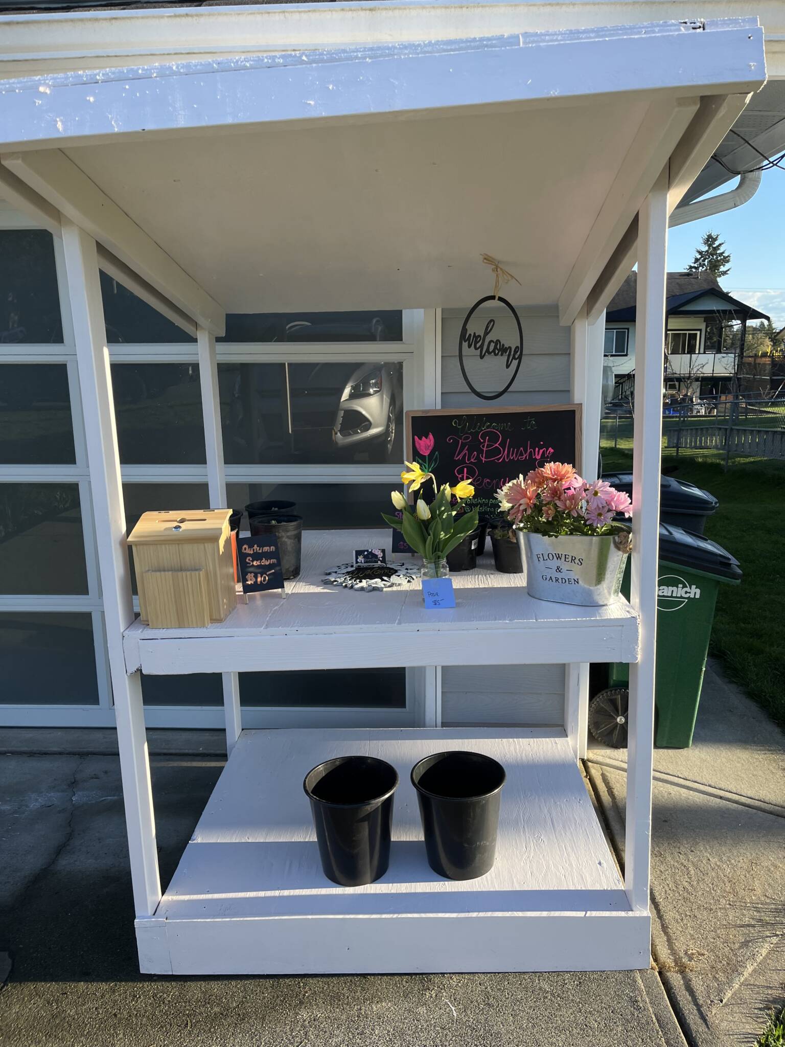 553 Dunbar Cres - Island Farm Stands