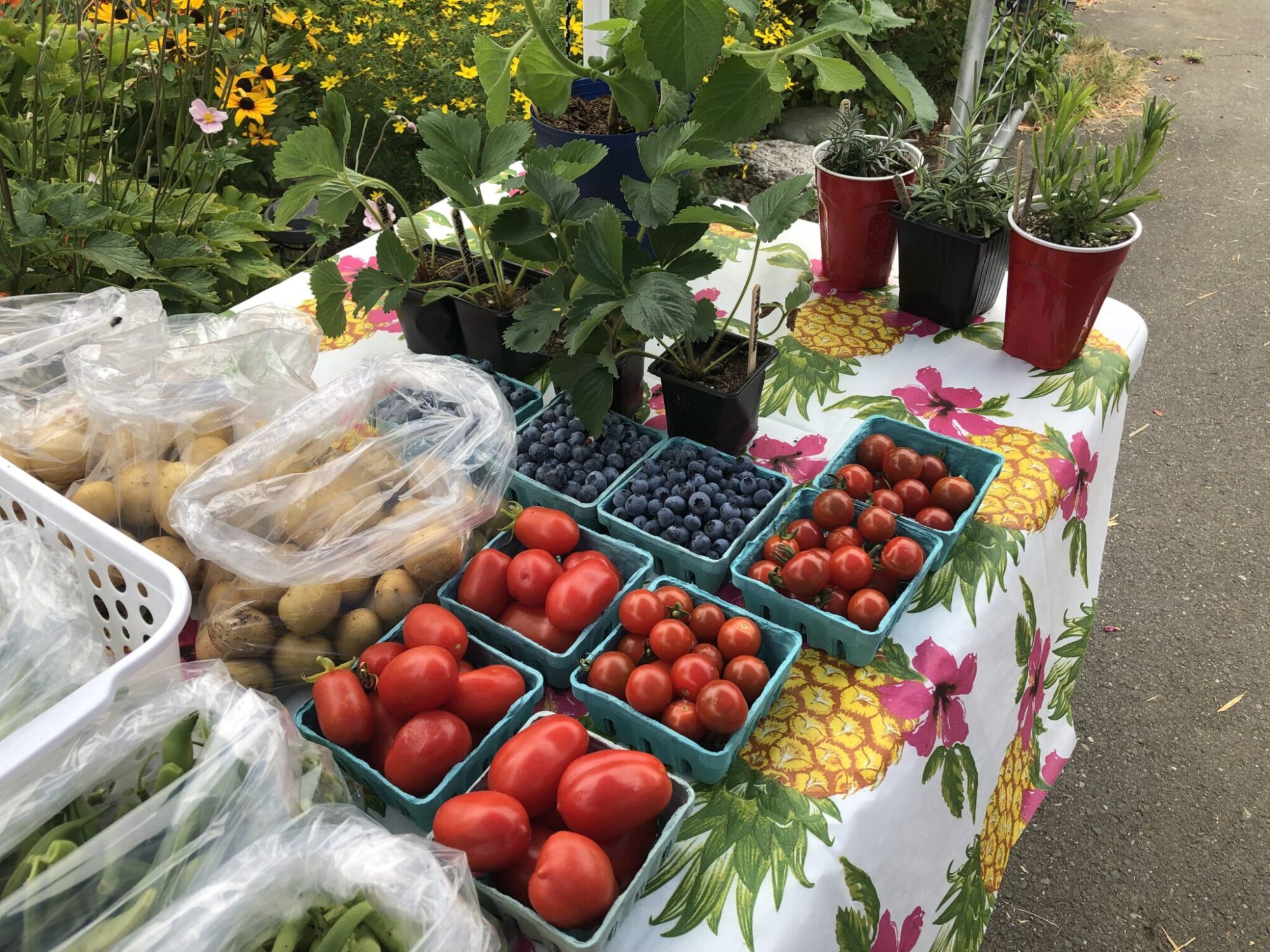 190 Lennea Place - Island Farm Stands